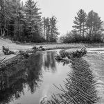 Bioengineered Stabilization | Sumco - Specialized Civil and Ecological ...