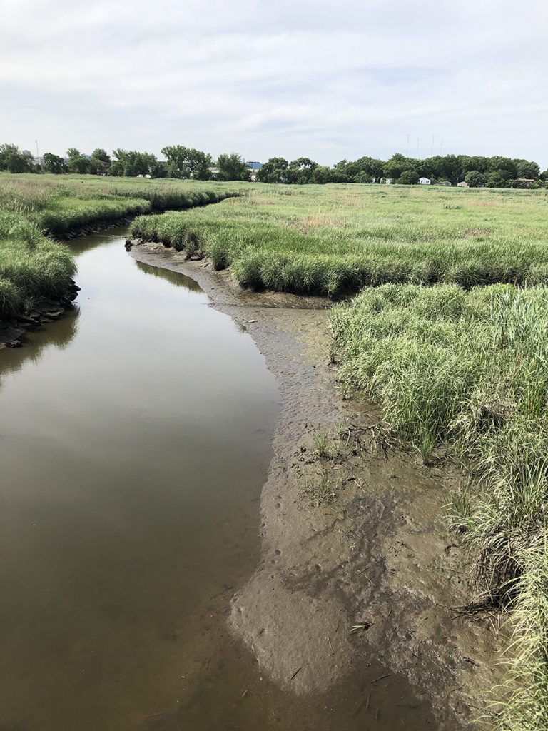 Secaucus High School Marsh Restoration | Sumco - Specialized Civil and ...