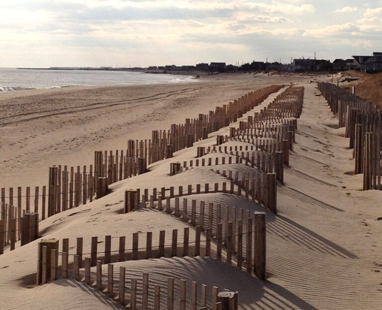 Sand Drift Fence, So Kingstown